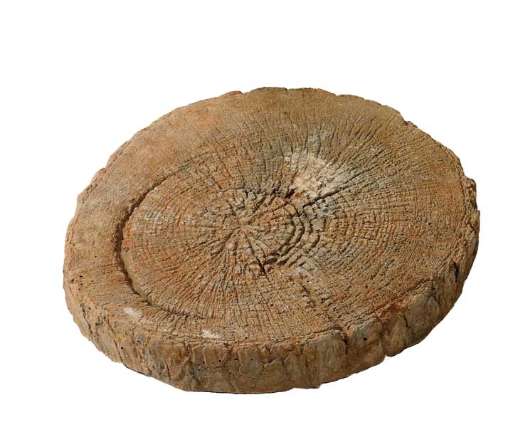 Tree Rings - Mobicast Bricks | Blocks | Pavers | Kerbs